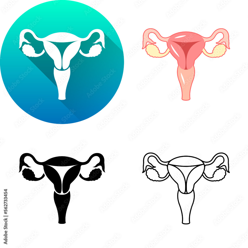 Set of Human Uterus and Ovaries Female Reproductive System Medical ...