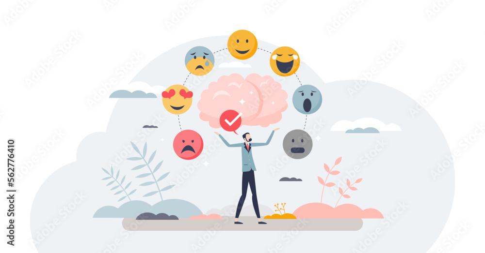 Emotion regulation with emotional intelligence control tiny person ...