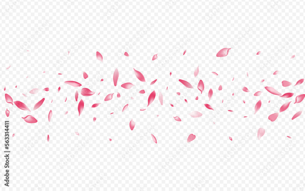 Purple Sakura Vector Transparent Background. Stock Vector | Adobe Stock