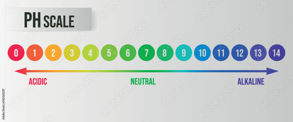 Image vectorielle Stock pH value scale chart for acid-alkaline solution. Acid-base balance ...