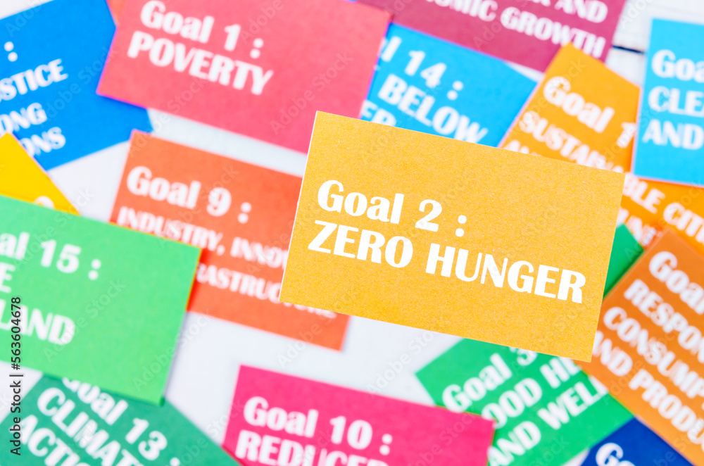 The Goal 2 : Zero Hunger. The SDGs 17 development goals environment ...