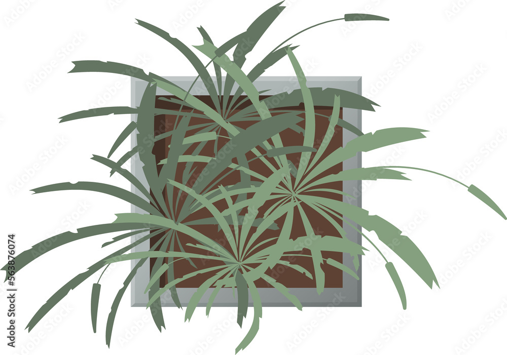Plant in pots top view for plan of green spaces. Colored plant in pot ...