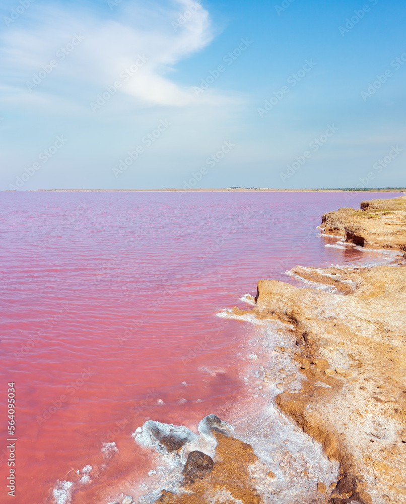Pink extremely salty Syvash Lake, colored by microalgae with ...