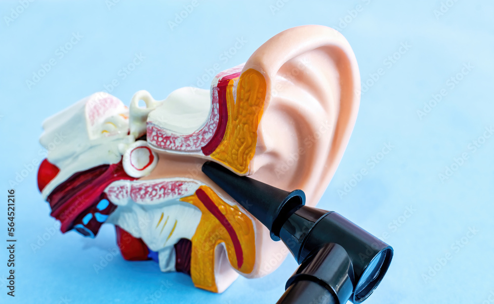 Foto de Stock Anatomical ear model and medical device used to check the ...