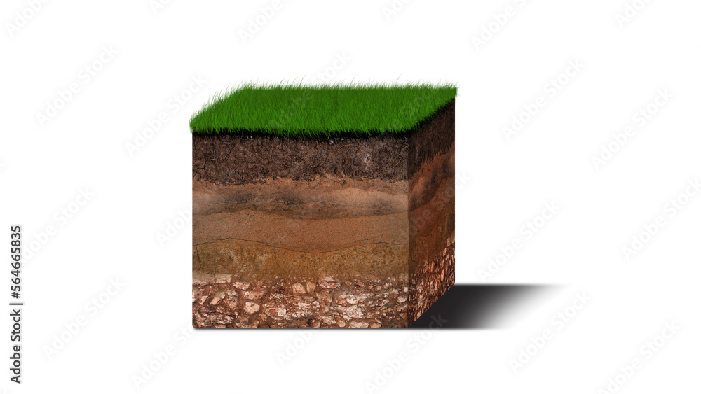Isometric Soil Layers diagram, Cross section of green grass and ...
