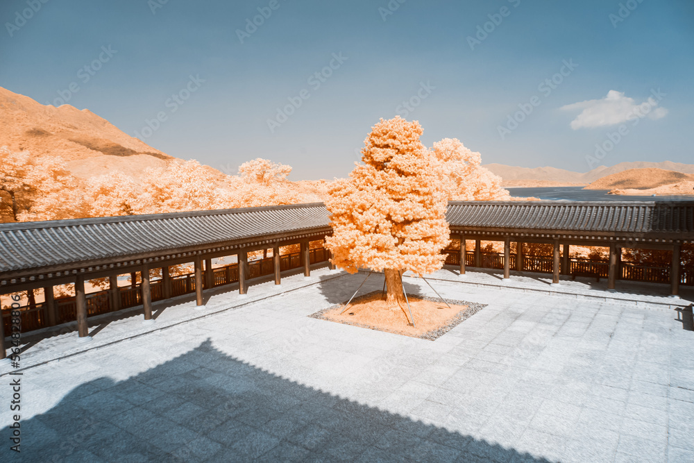 Infrared photography of traditional Chinese buildings and plants Stock ...