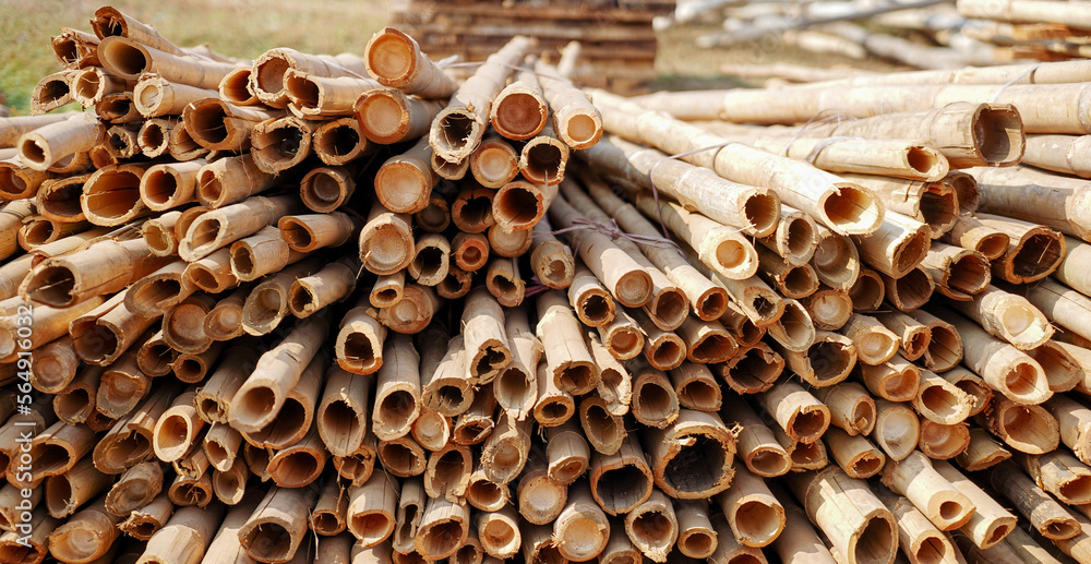 Beautiful wood kept in pattern creating a nice background, Storage ...