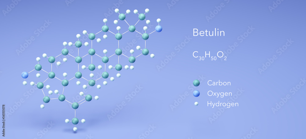 betulin molecule, molecular structures, c30h50o2 3d model, Structural ...