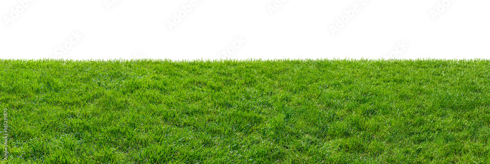 green grass field isolated on transparent background, png Stock Photo ...