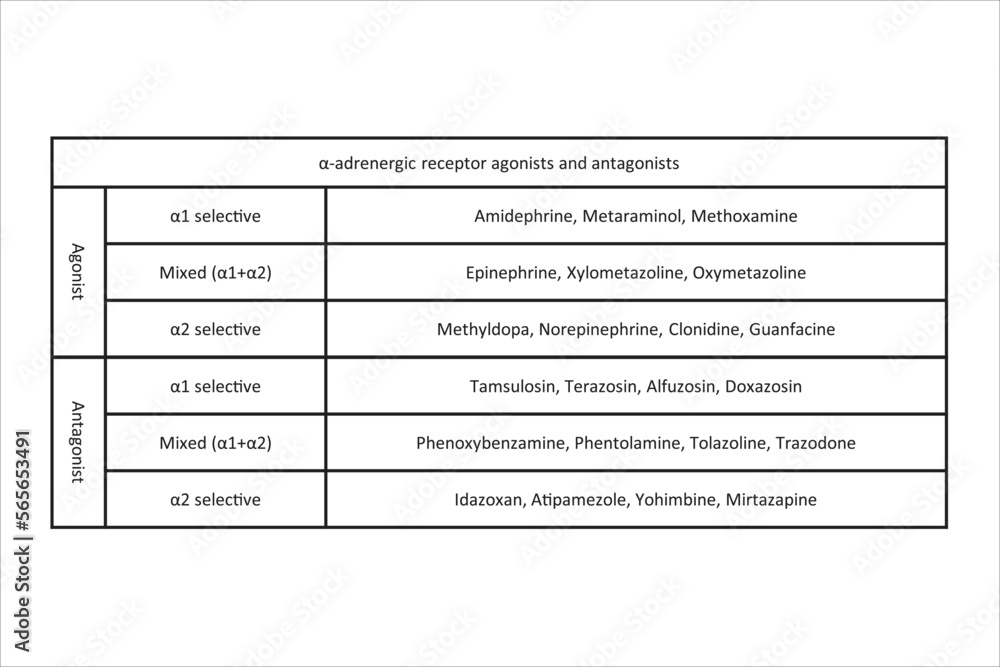Table showing classification of α adrenergic receptor agonists and ...