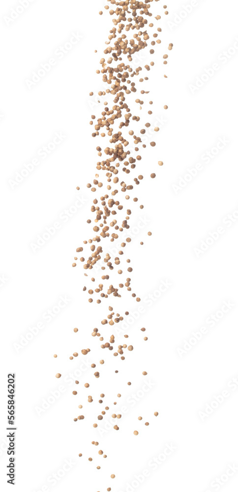 Coriander seed fall down in group, brown coriander seed float explode ...