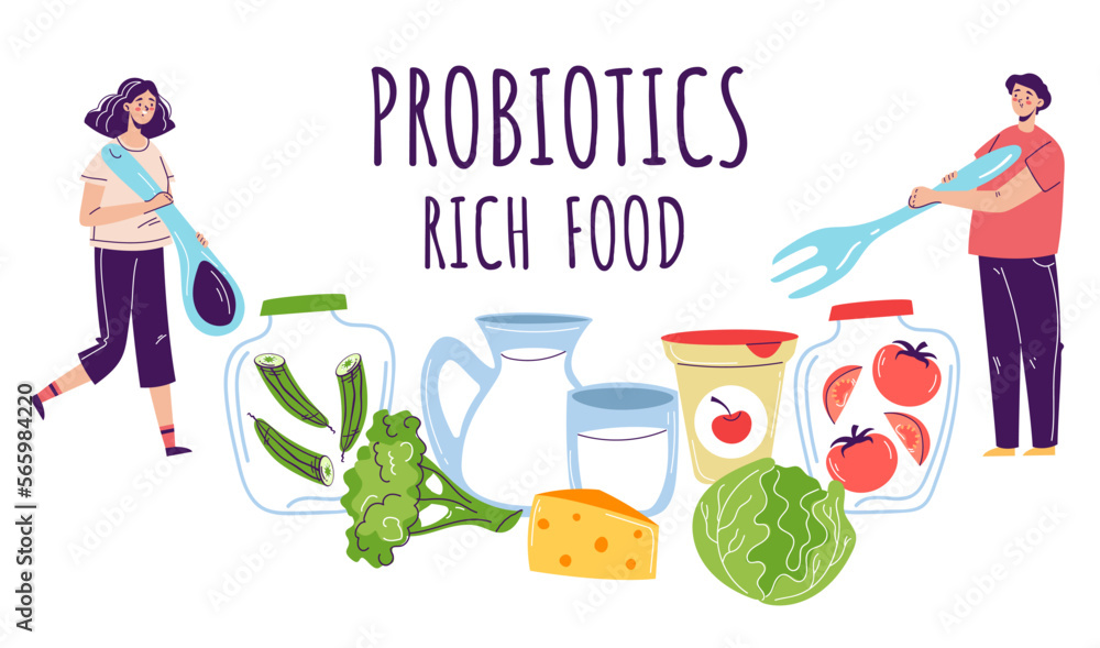 Probiotic fermented rich food vector infographics concept. Vector ...