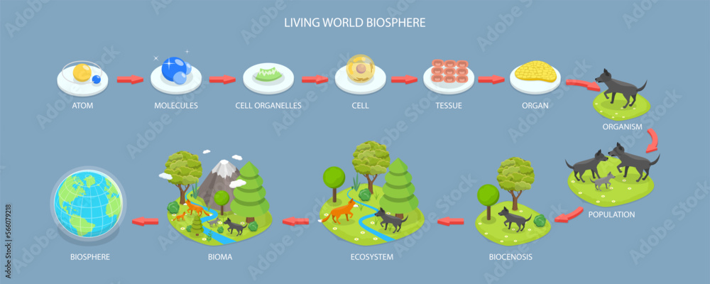 3D Isometric Flat Vector Conceptual Illustration of Living World ...