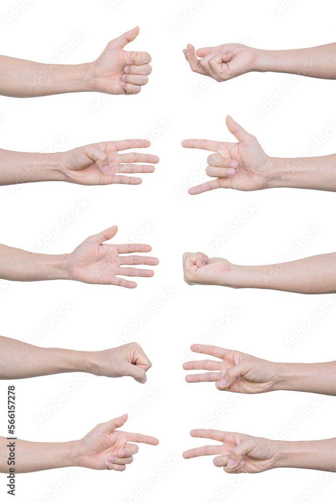 Set of man hands Isolated on transparent background PNG file Stock ...