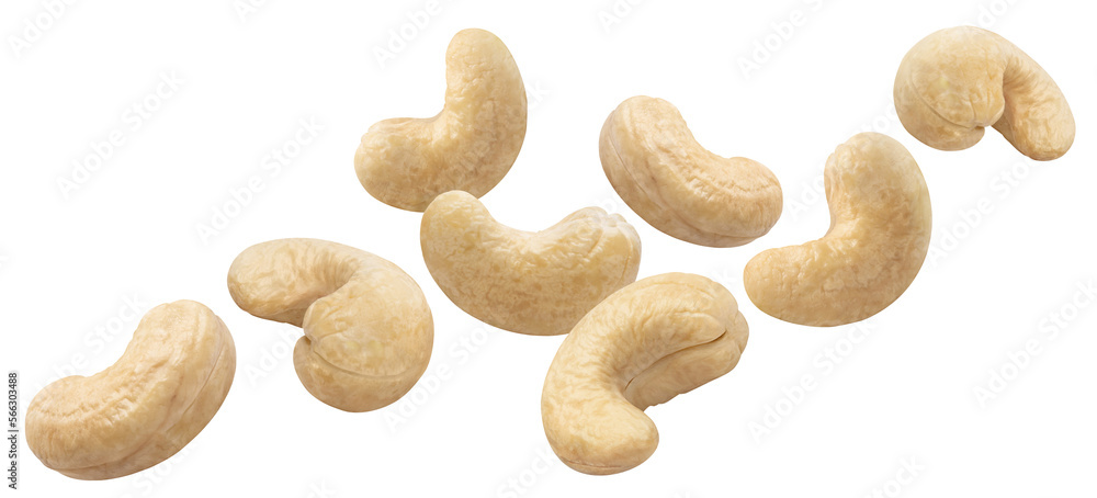 Flying delicious cashew nuts cut out Stock Photo | Adobe Stock