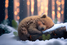 Sleeping Bear Free Stock Photo - Public Domain Pictures