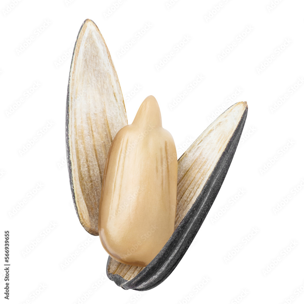 Delicious peeled sunflower seed cut out Stock Photo | Adobe Stock
