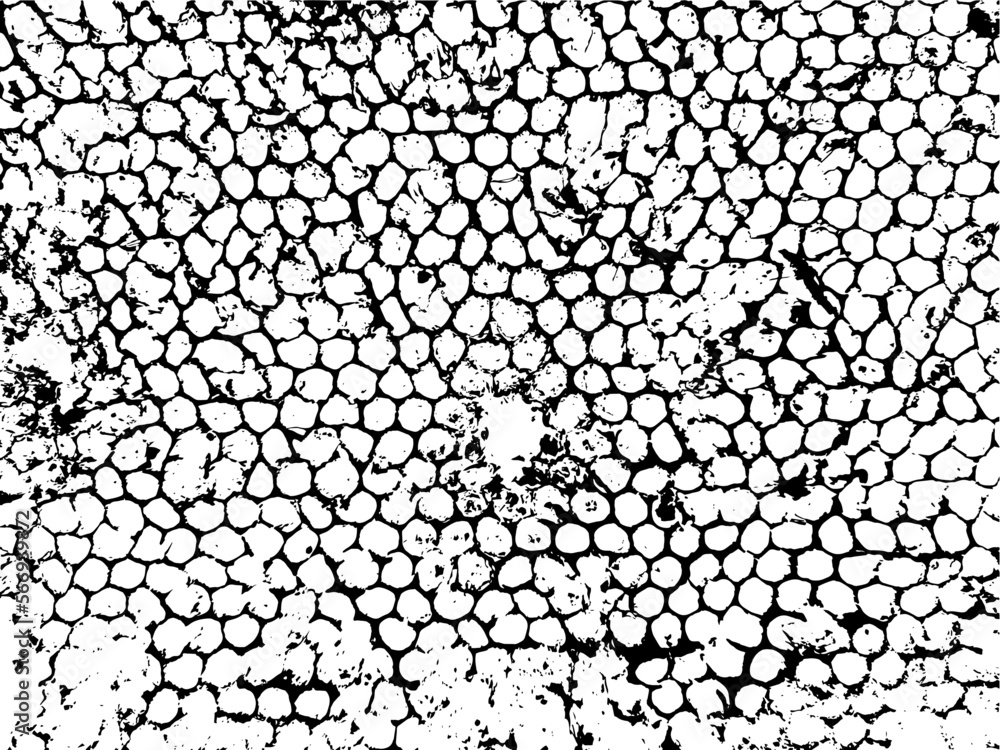 Old bee honeycombs, big natural vector grunge background. Unique light ...