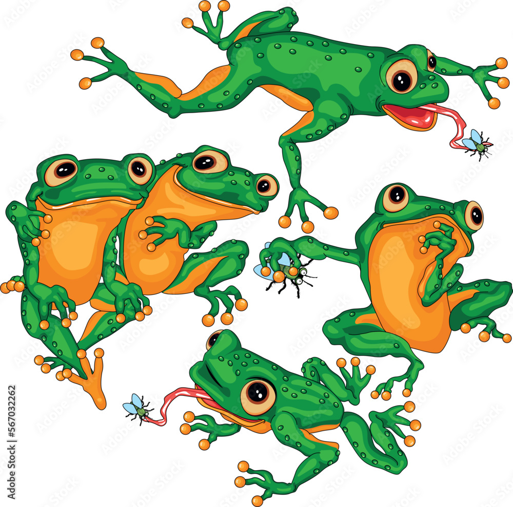 Заголовок: cute family frogs animals cartoon vector illustration ...