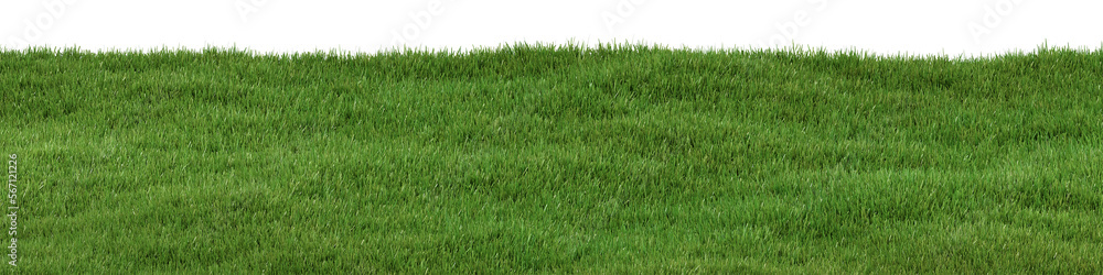 Architectural and landscape concept. Green grass field isolated on ...