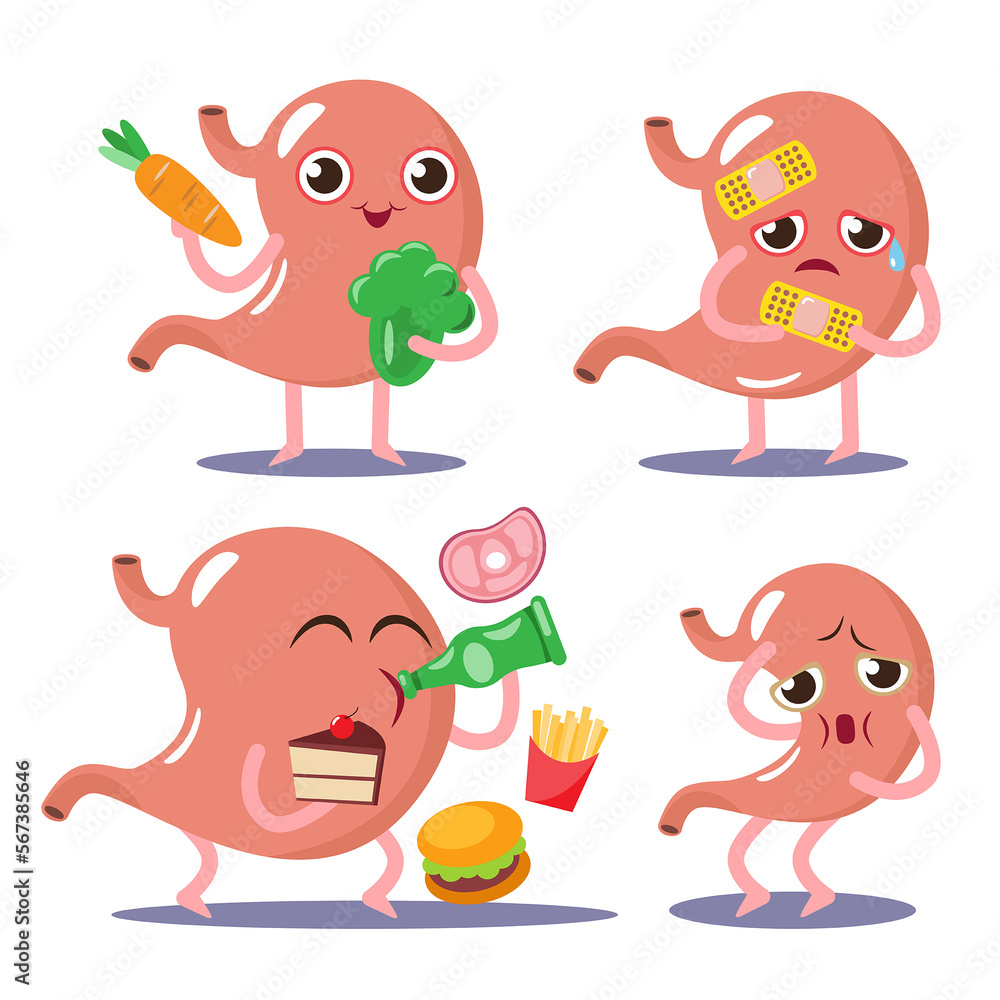 stomach vector ,illustration flat cartoon character positive good food ...