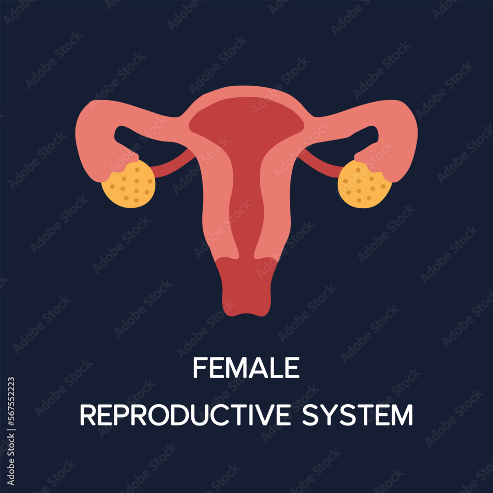 Vector de Stock Human Internal organs, cartoon anatomy body part female ...