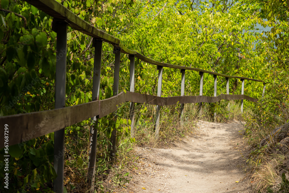 Long trail equipped with gravel steps and wooden handrail for tourists ...