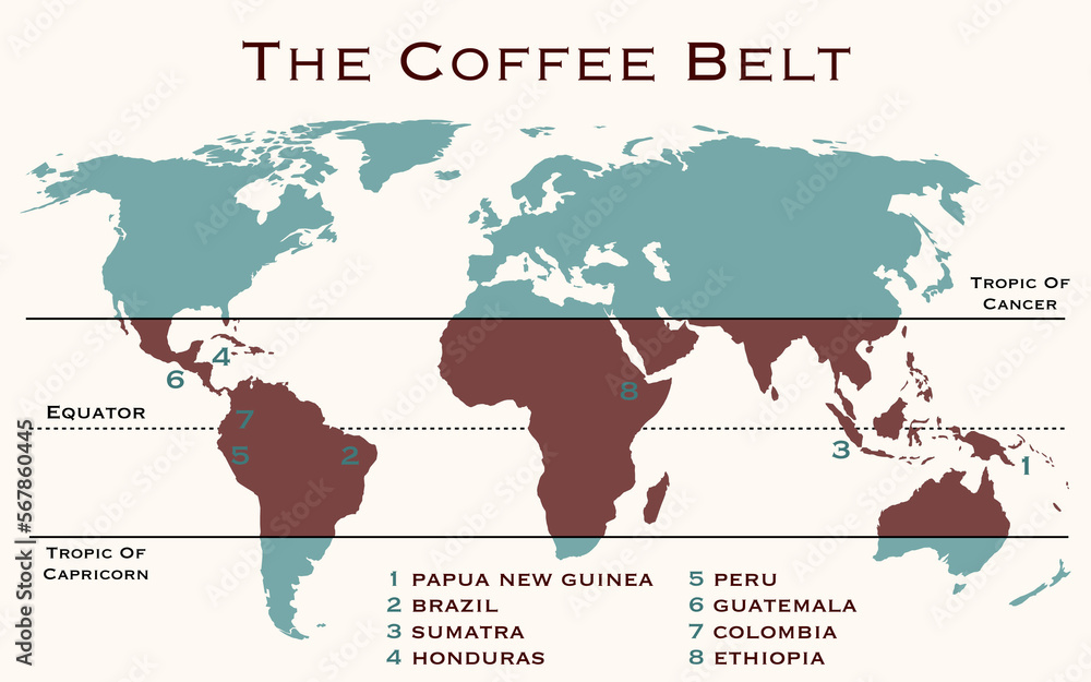 The area of the world, known as coffee belt, which includes the major ...