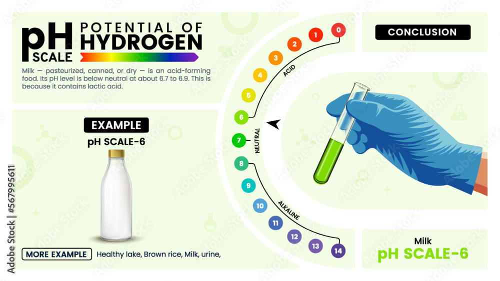 pH scale Six properties, calculation and examples - Vector illustration ...
