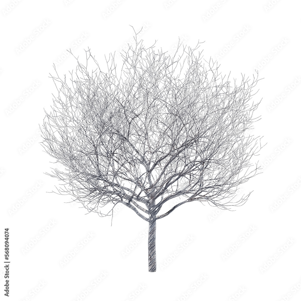 Bare cherry tree drawing isolated transparent background Stock ...