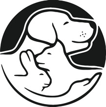 Dog, Cat And Rabbit Art Free Stock Photo - Public Domain Pictures