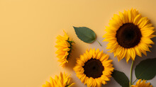 Minimalistic Abstract Sunflower Free Stock Photo - Public Domain Pictures