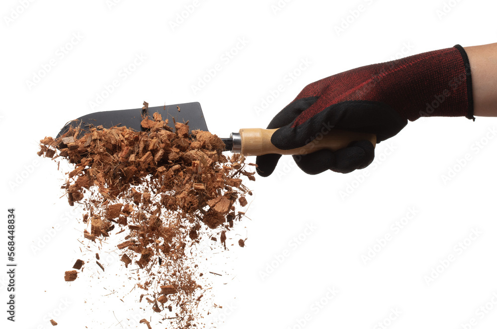 Coconut peel husk flying explosion, coconut chopped medium M size ...