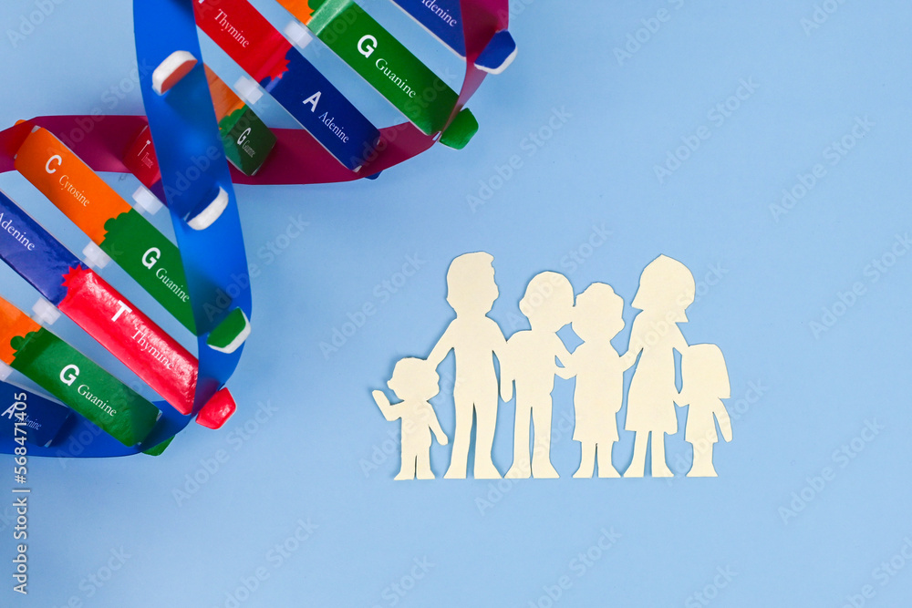 DNA helix structure and family paper model, Genetic ancestry testing ...