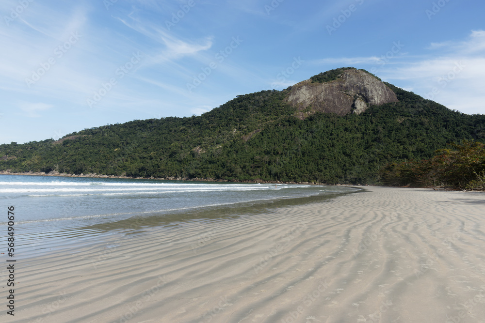 Desert tropical beach, near the forest in Dois Rios, Brazil. Amazing ...
