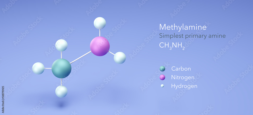 methylamine, molecular structures, ch3nh2, 3d model, Structural ...