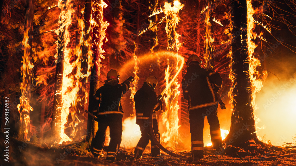 Professional Firefighters Extinguishing Large, High-Priority Part of ...
