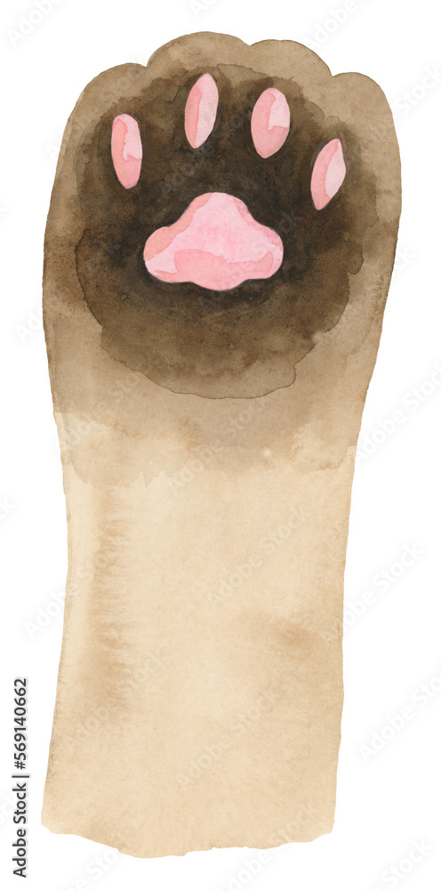 Siamese cat paw watercolor isolated background clip art Stock ...