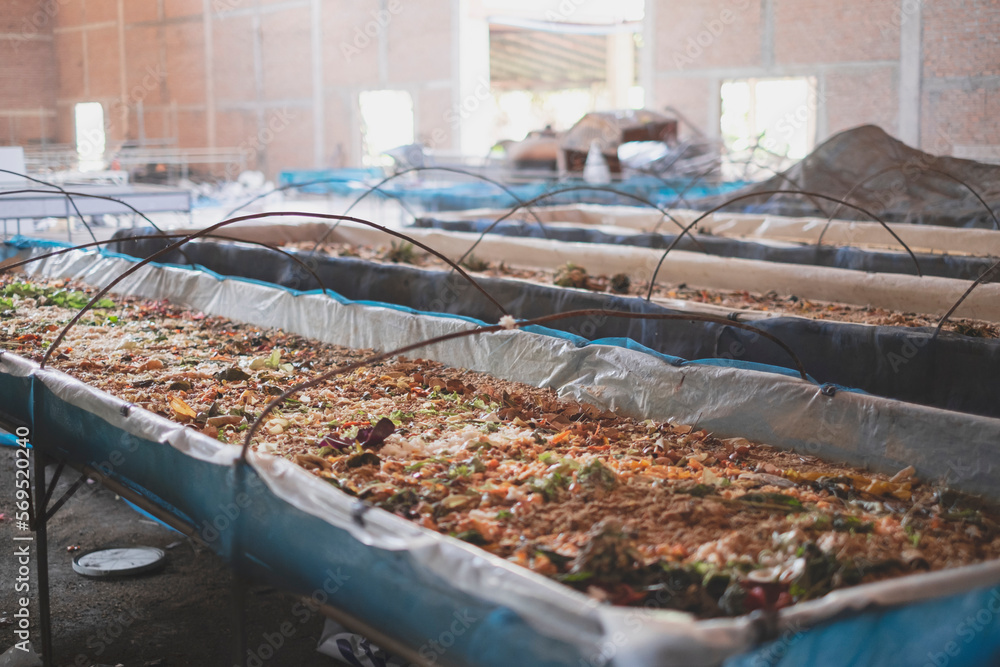 A black soldier fly larvae worm farm that decompose waste. Concept of ...