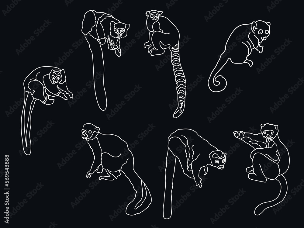 hand drawn lemur outline clipart icon set.lemur line art vector illustration collection 素材庫向量圖 ...