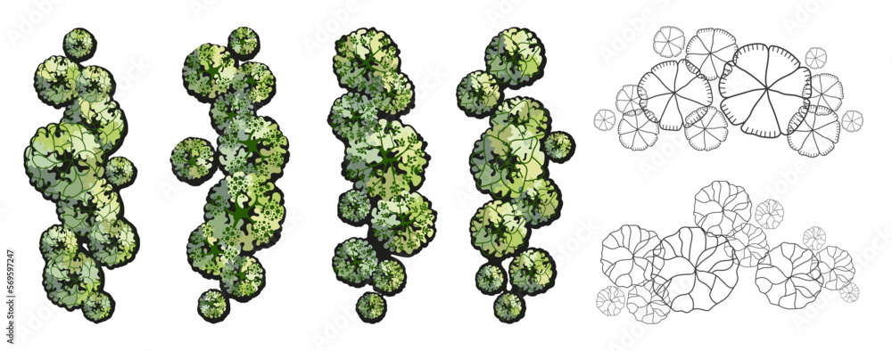 Group of trees for architectural floor plans. Entourage design. Various ...