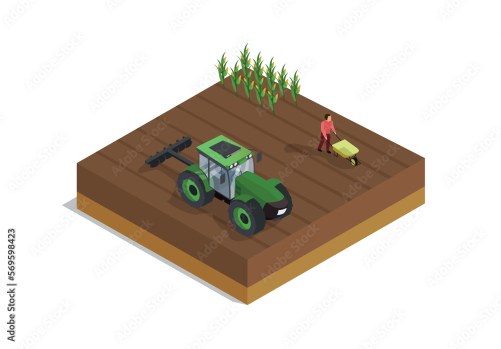 Farm field with tractor. Girl collects corn with cart, harvest, natural ...