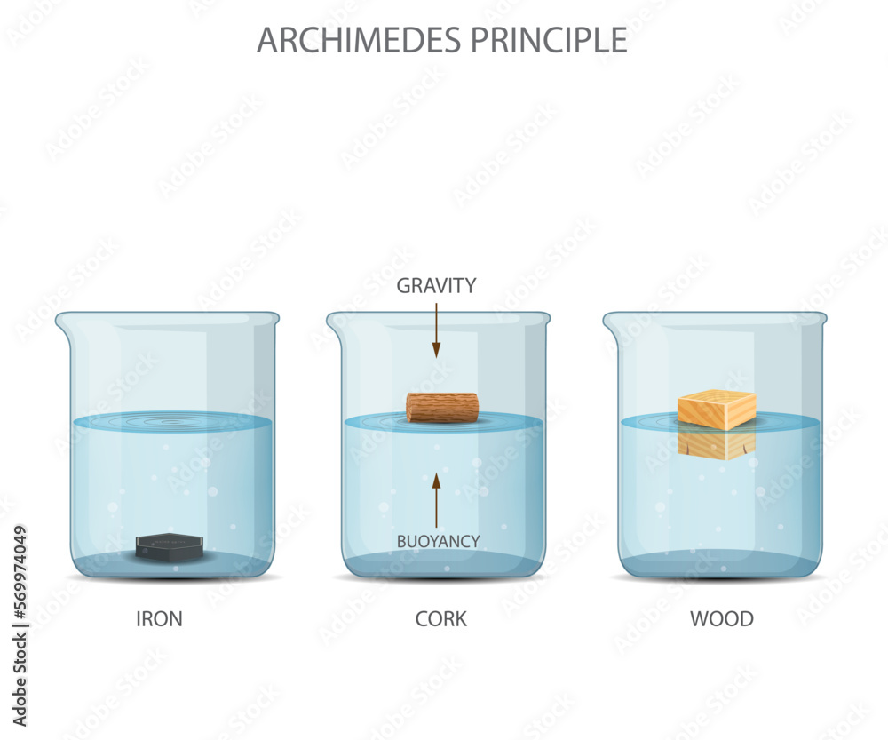 Archimedes Principle Density and Buoyancy Stock Vector | Adobe Stock