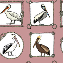 Seamless Nautical Pelican Pattern Free Stock Photo - Public Domain Pictures