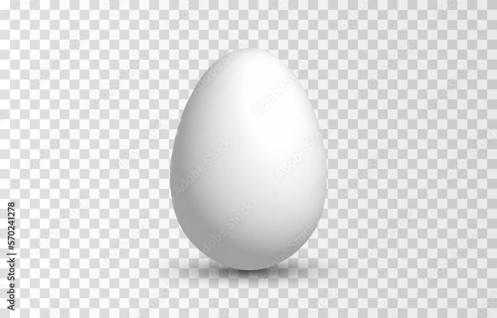 Vector egg png. Realistic egg on isolated transparent background ...