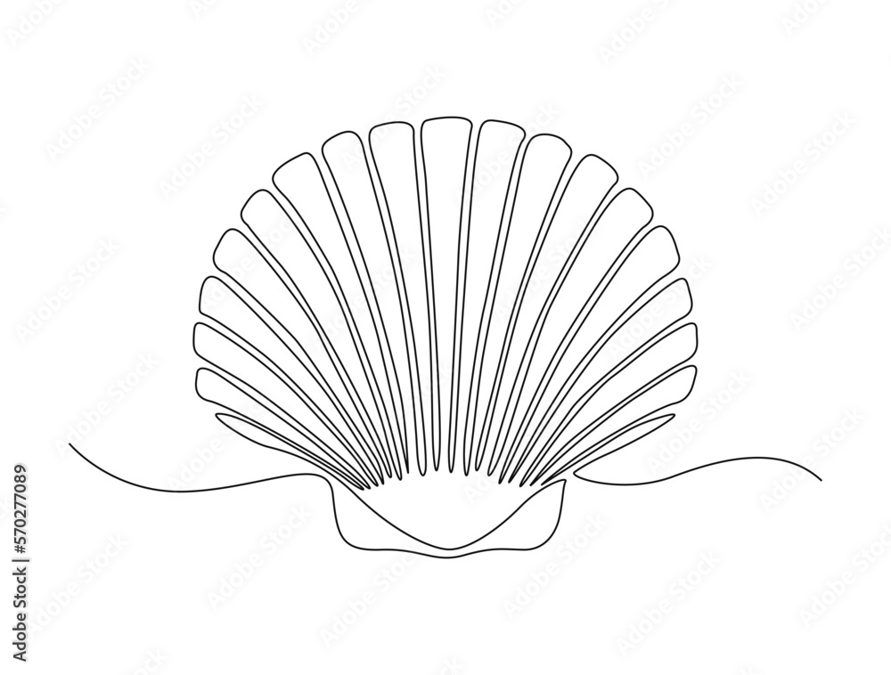 pearl shell drawing