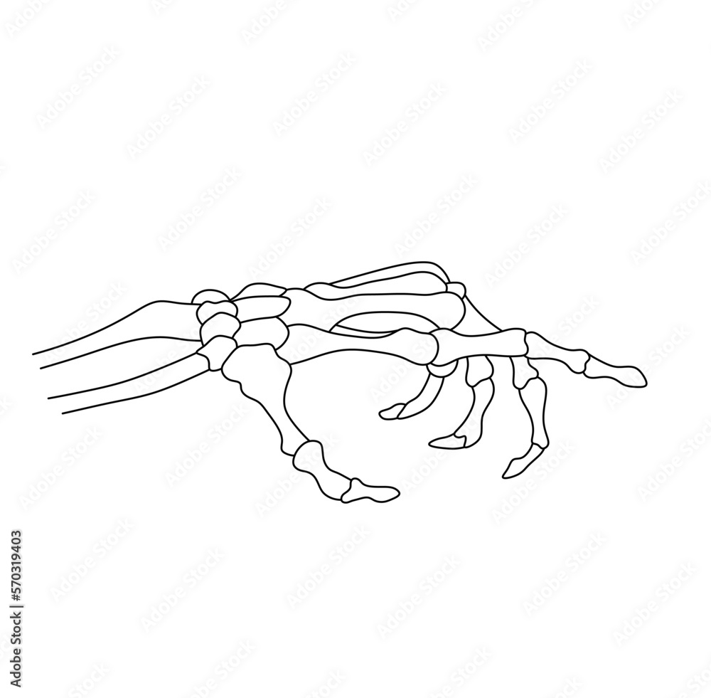 Vector isolated one single dead man hand skeleton with pointing index ...