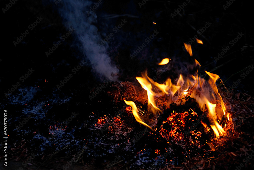 wildfire, rural fire, burning conflagration, burning ash, setting ...