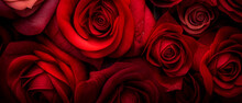 Red Roses Background Free Stock Photo - Public Domain Pictures