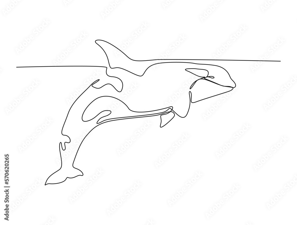 Continuous one line drawing of killer whale. Simple illustration of ...